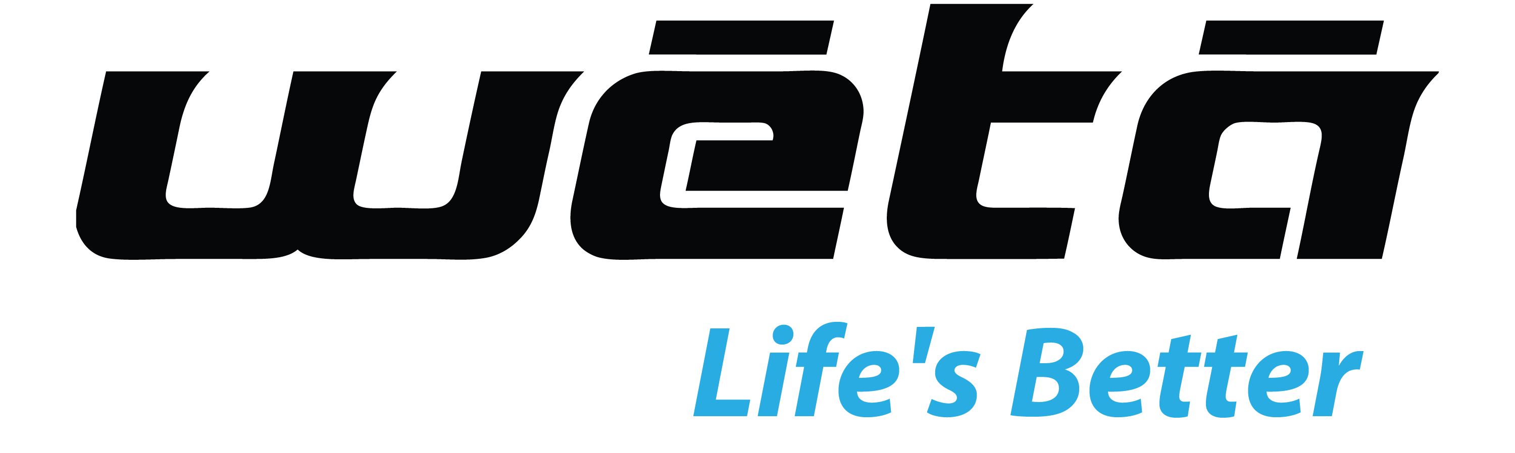 Weta France – Le Weta, le super multicoque polyvalent pour le maximum ...